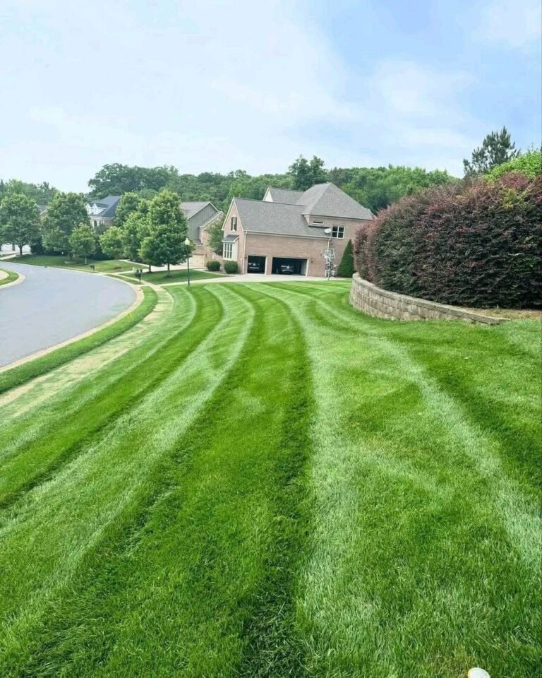 Home - GreenCare Lawn Service